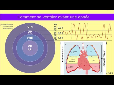Apnée Respiration, comment ventiler avant une apnée ? - YouTube