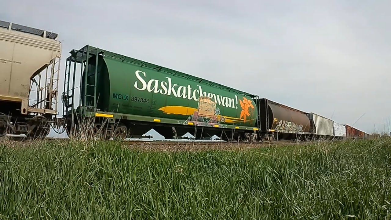 Southbound UP train with Saskatchewan grain hoppers on the Spine Line ...