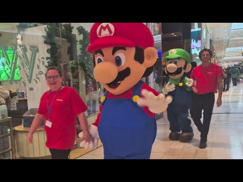 Mascot Character Parade Nintendo Mario and Luigi Westfield London ...