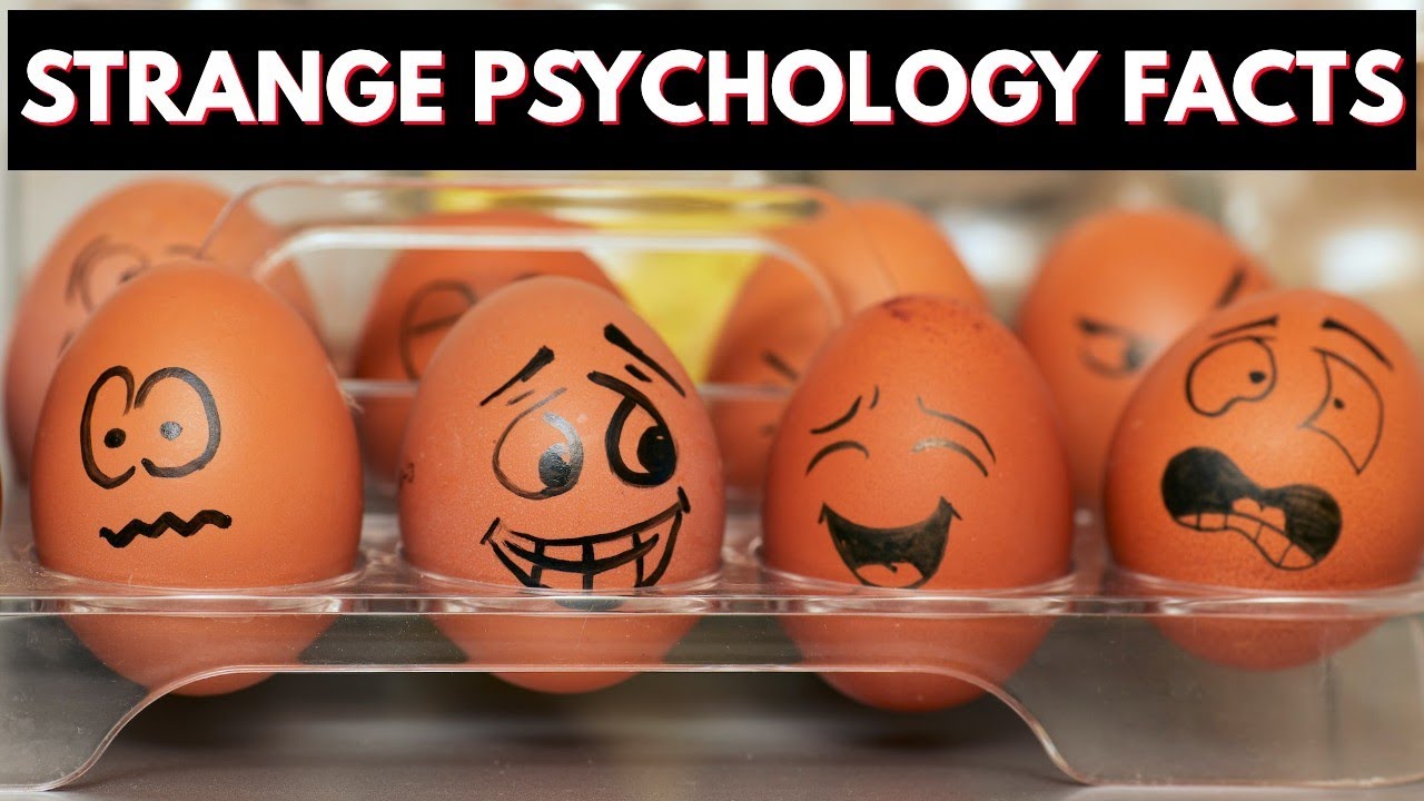 Strange Psychology Facts About the Human Mind Nobody Tells You - YouTube