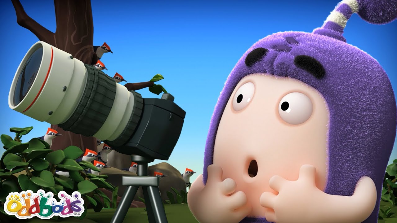 ODDBODS Cartoons | Wildlife | Fun Cartoons For KIDS | Full EPISODE ...