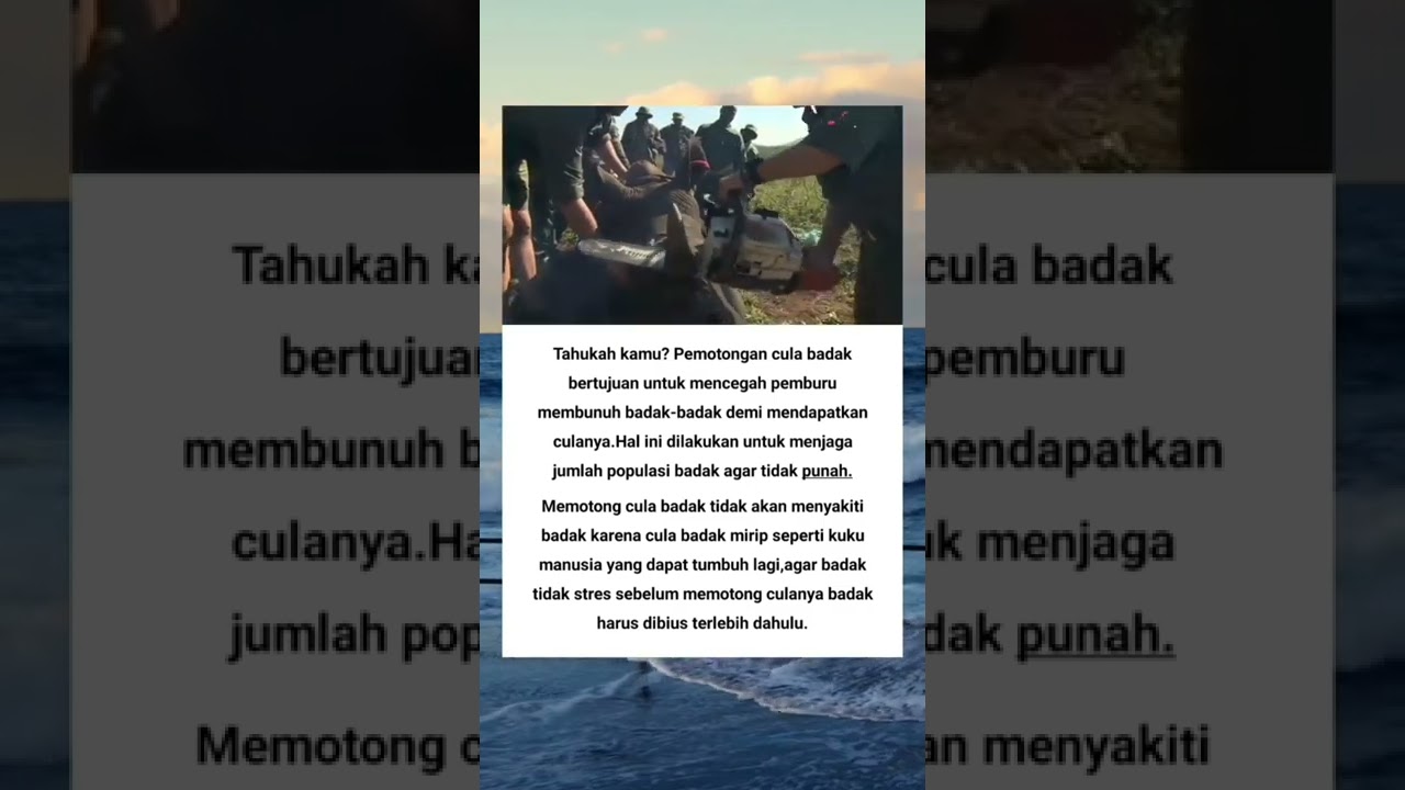 pemotongan cula badak - YouTube
