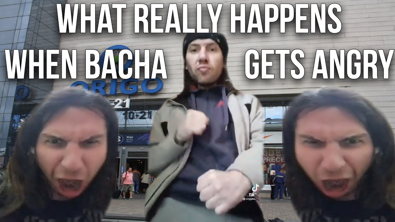 What Really Happens when Bacha gets Angry - YouTube