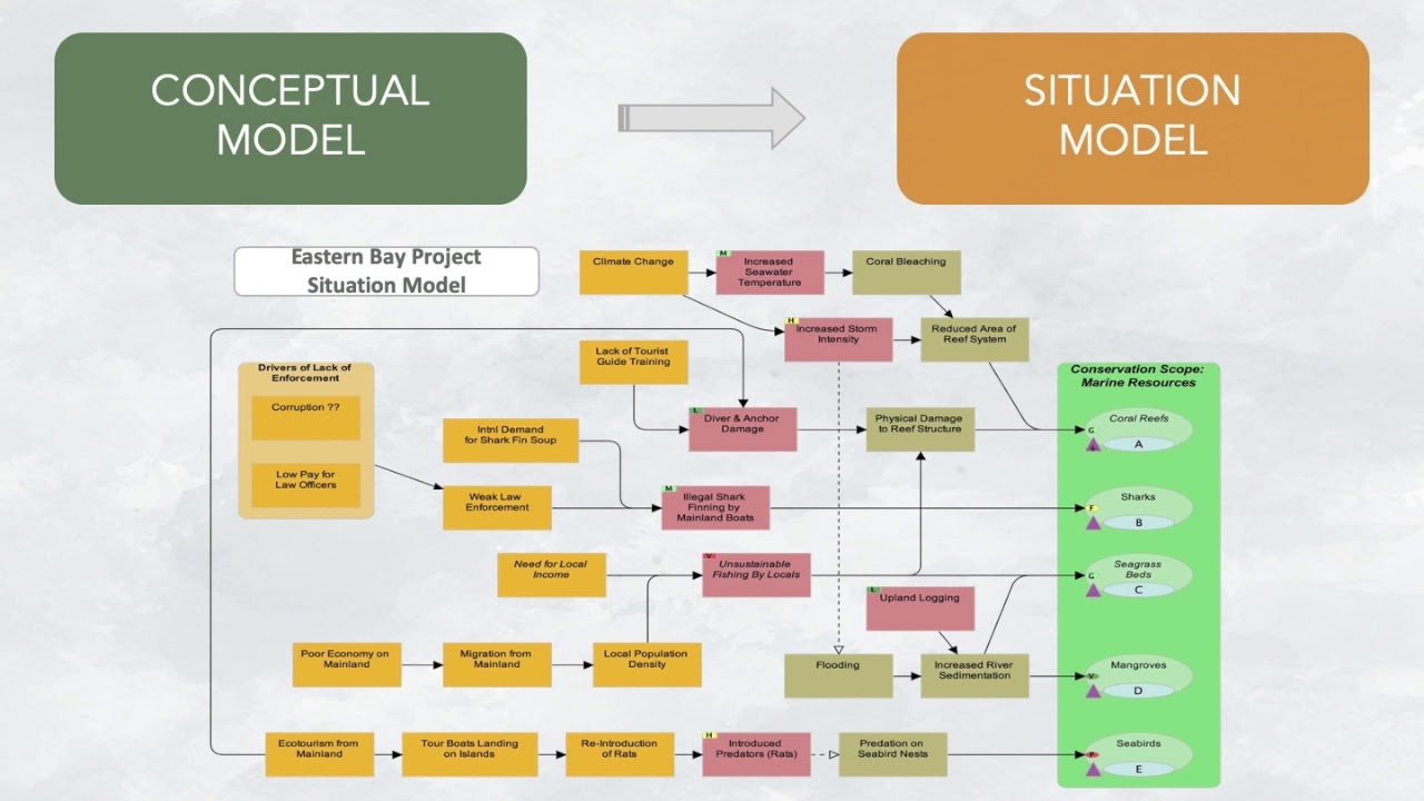 Module 0 | COURSE INTRO | CS Step 3 | Online Course - YouTube
