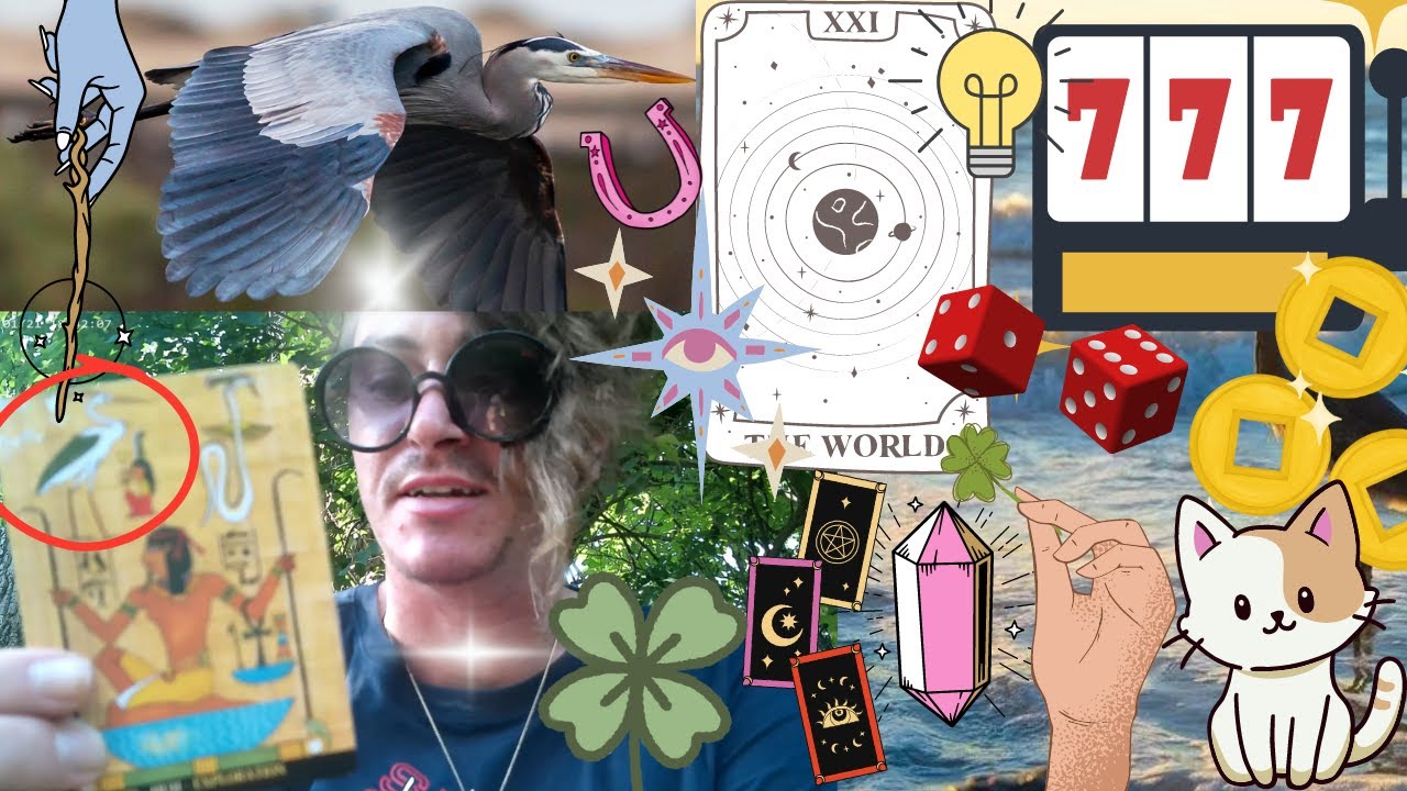 Blue Heron Energy🐦🪶UR Connection 2 the Divine is POWERFUL😤Resilience ...
