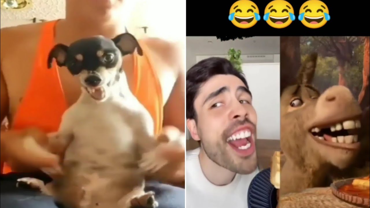 Best funny clips | memes |comedy videos - YouTube