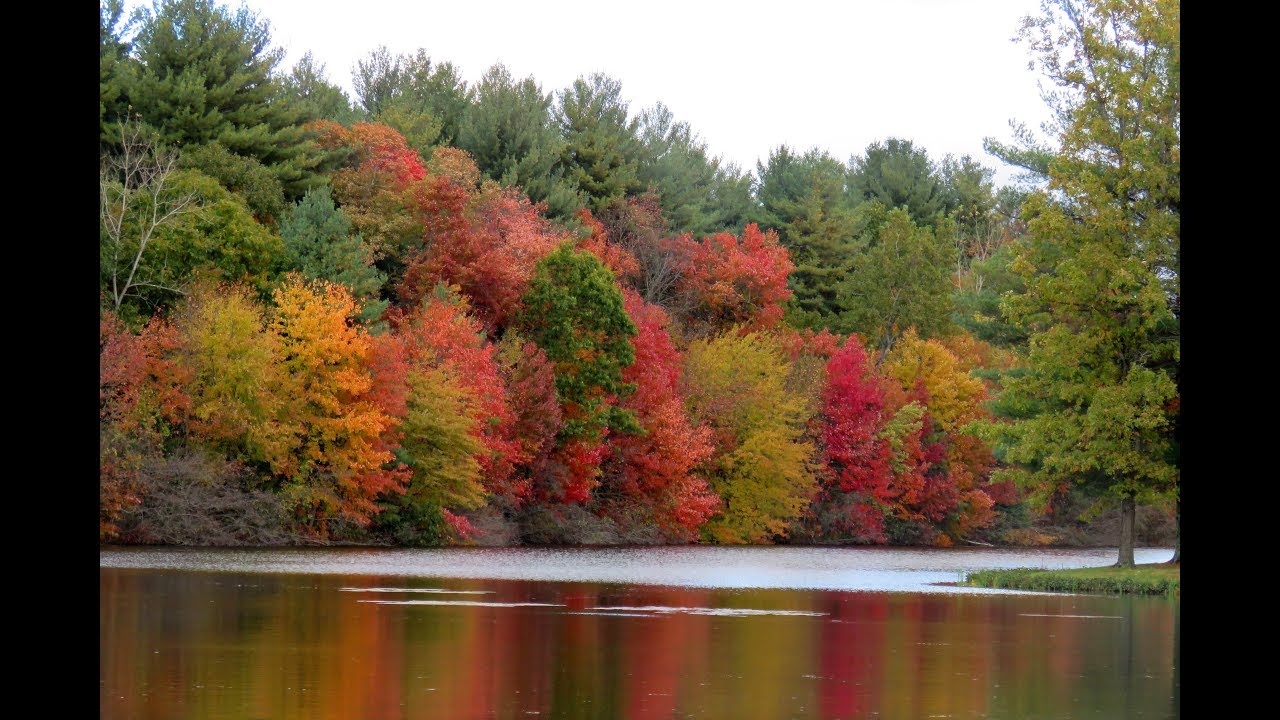 Fall in Farmington, Connecticut -2 (2-الوان الخريف في امريكا) - YouTube