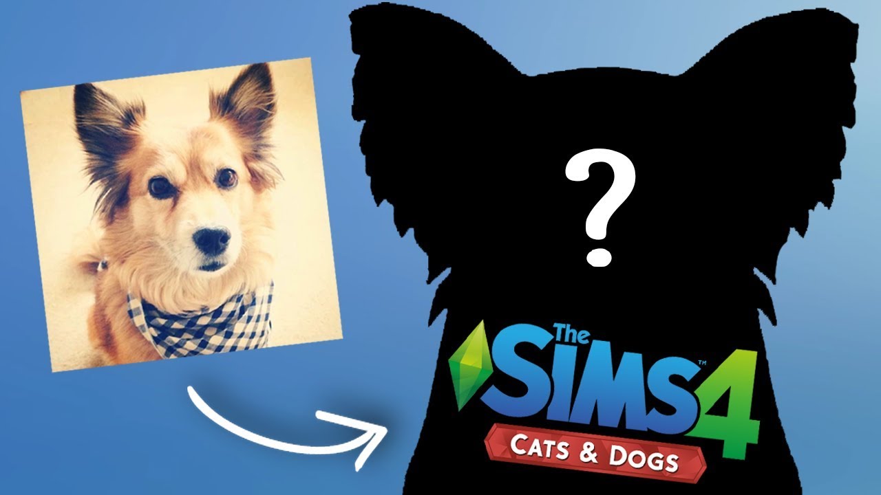 Making Page! - StacyPlays The Sims Cats & Dogs (Ep.4) - YouTube