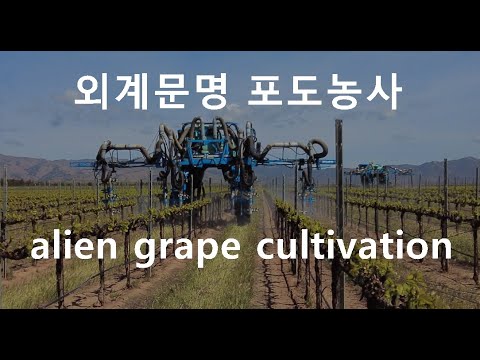 외계인의 특이한 포도밭. alien grape cultivation. - YouTube