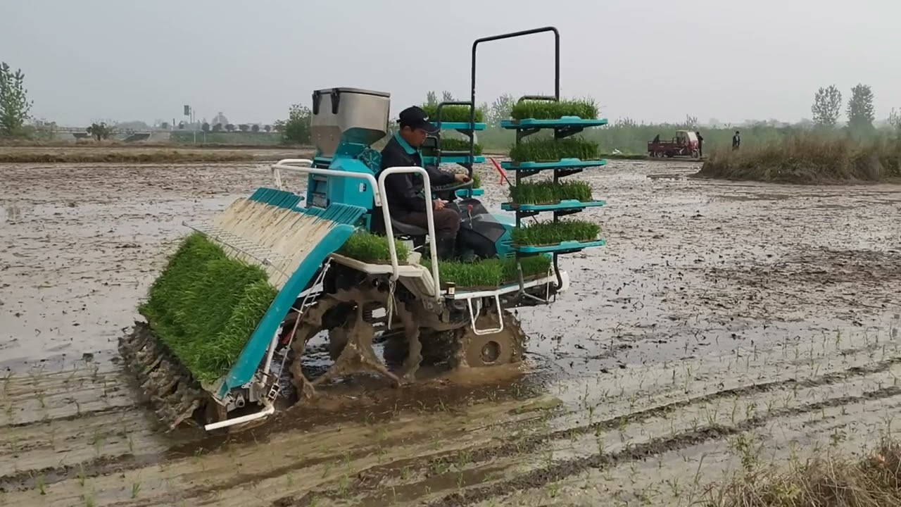 Deep placement fertilizer applicator with Mech transplanting - YouTube