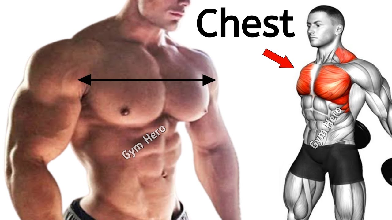 6 Fastest Big Chest Exercises At Gym - YouTube