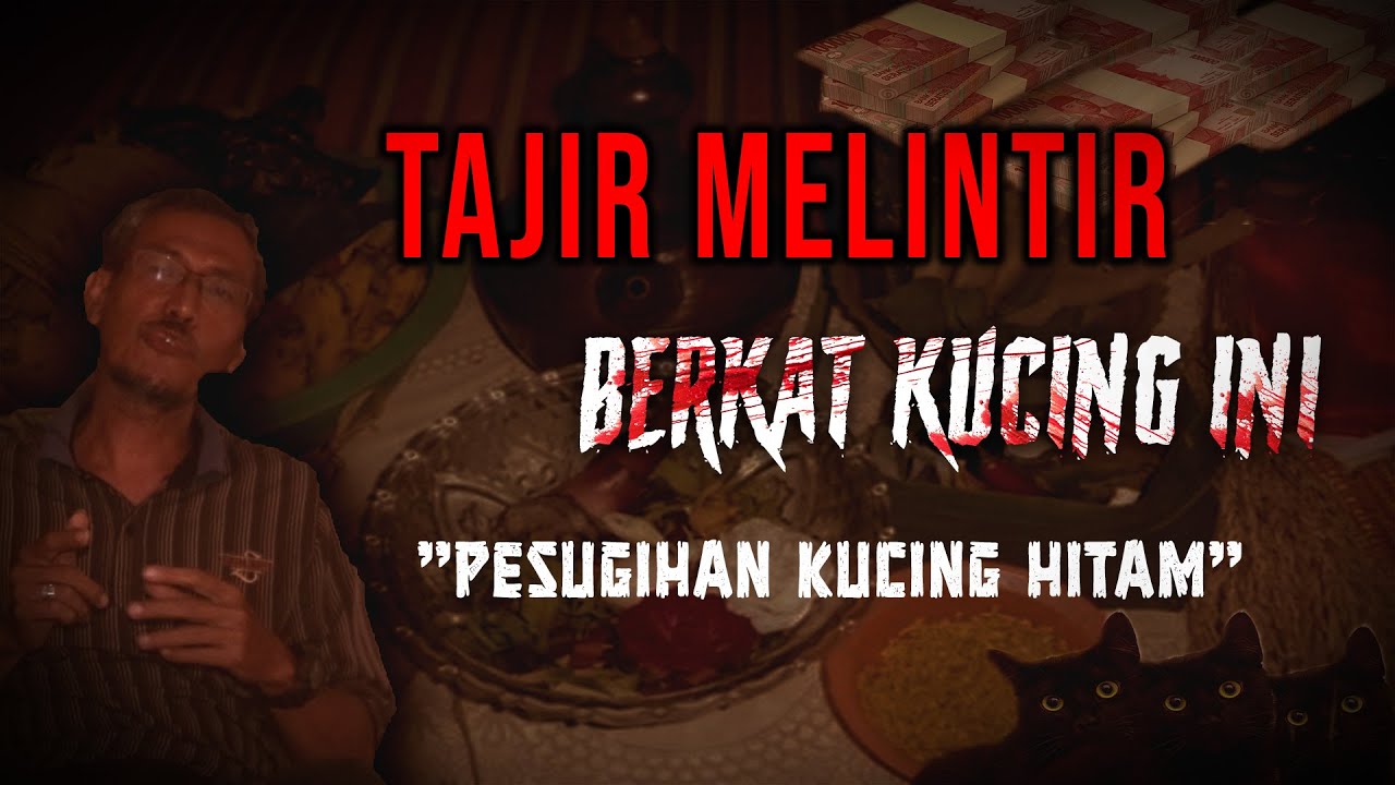 TAJIR MELINTIR BERKAT KUCING INI, TAPI BERAKHIR... !! KISAH MISTIS ...