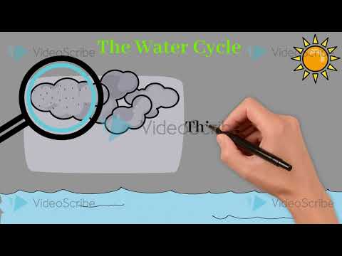 The Water Cycle