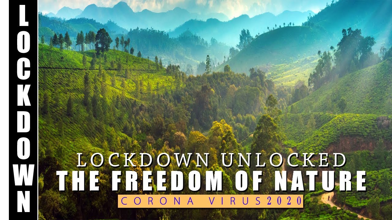 Lockdown Unlocked the Freedom of Nature - positive impact of ...