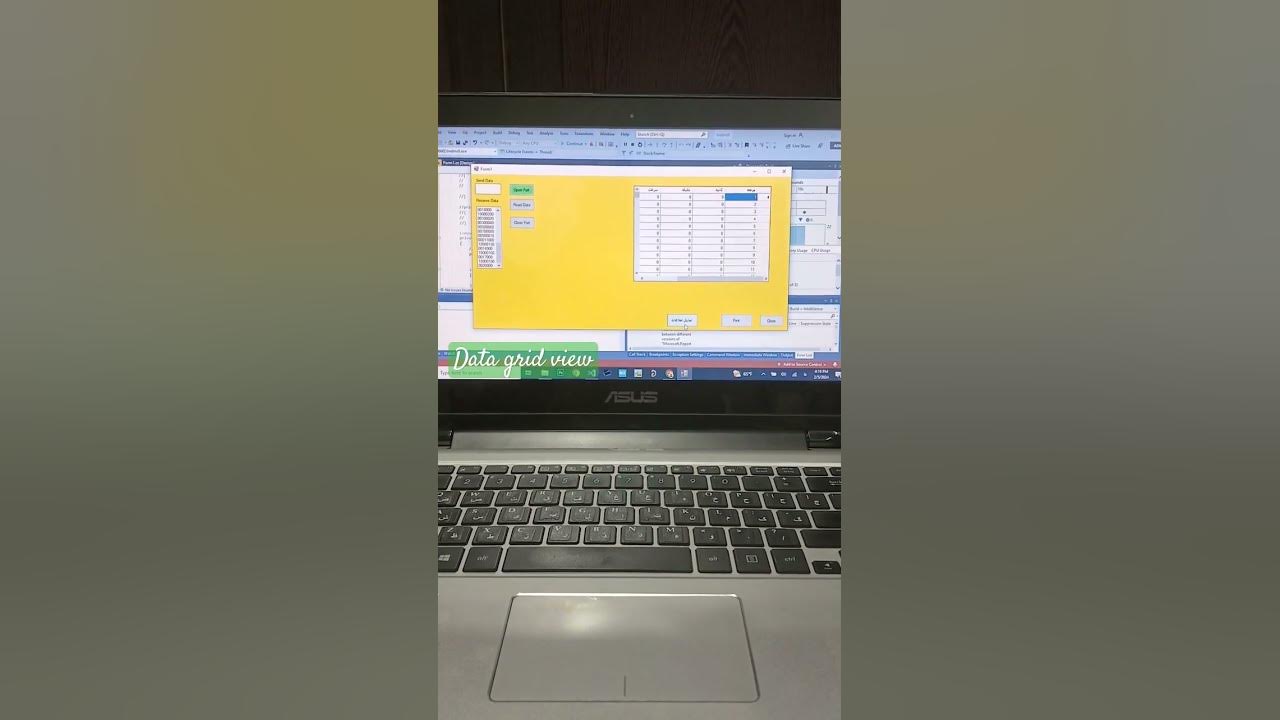 Data Grid View Youtube