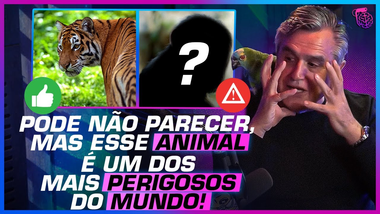 ANIMAIS SILVESTRES podem ser DOMESTICADOS? - GILBERTO MIRANDA ...