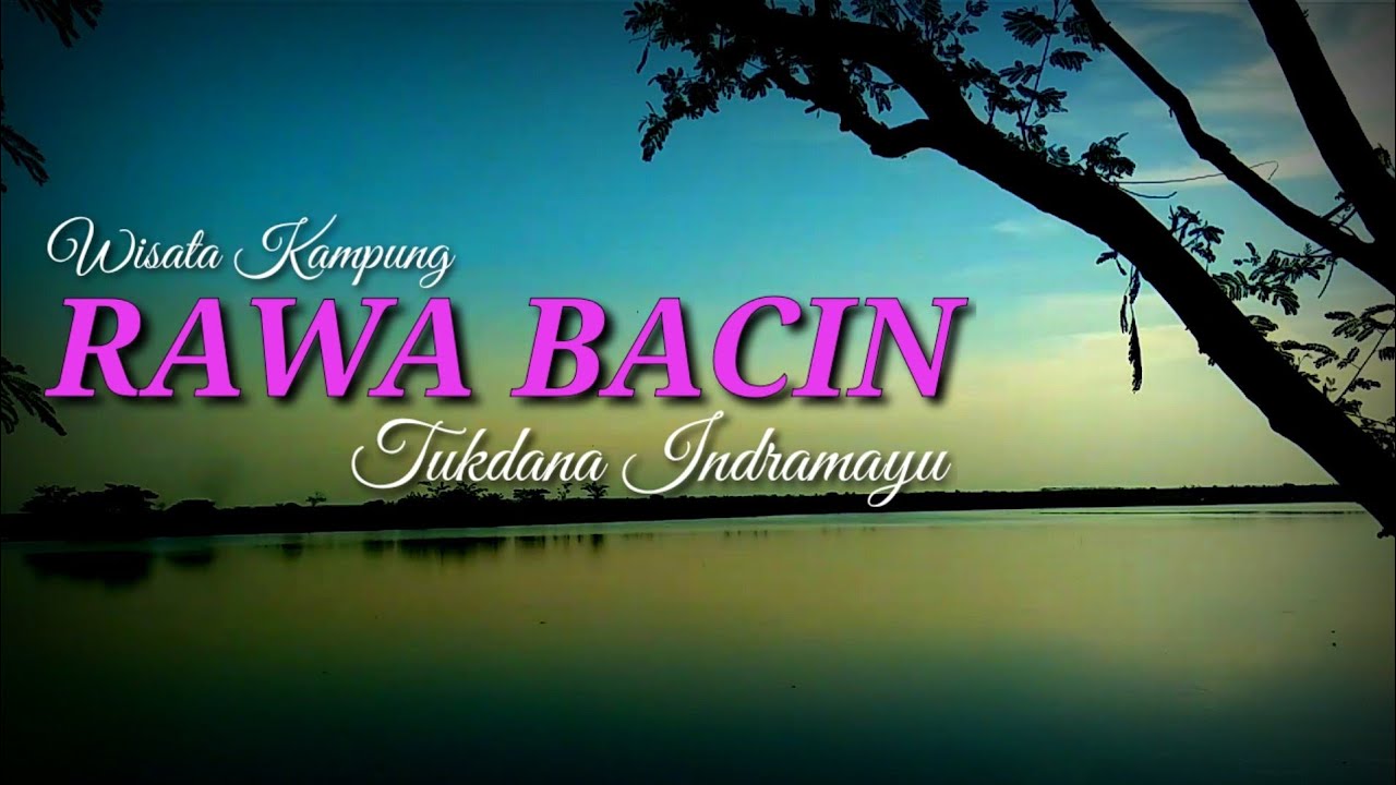 Wisata Rawa | Rawa Bacin | Wisata Gratis Indramayu | Part 2 - YouTube