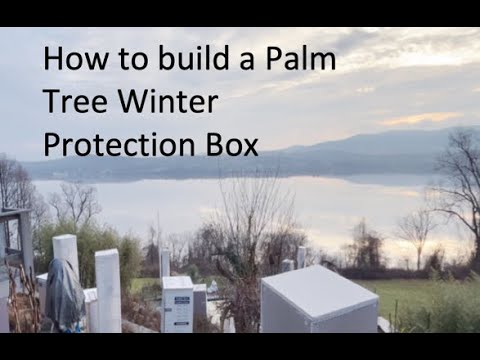 How to build a winter Palm Tree Protection Structure - YouTube