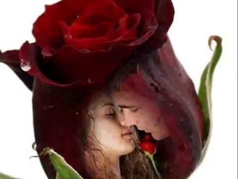 Gözümün nurusun / Söz:Gülbin Özer,Müzik ve Yorum:Alpay Çako