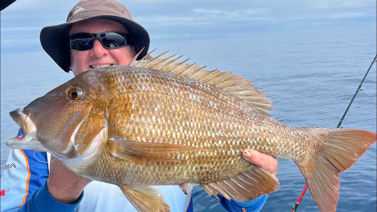 Fishing Rock Cod Shoals and Masthead Island (MONSTER SWEETLIP ...