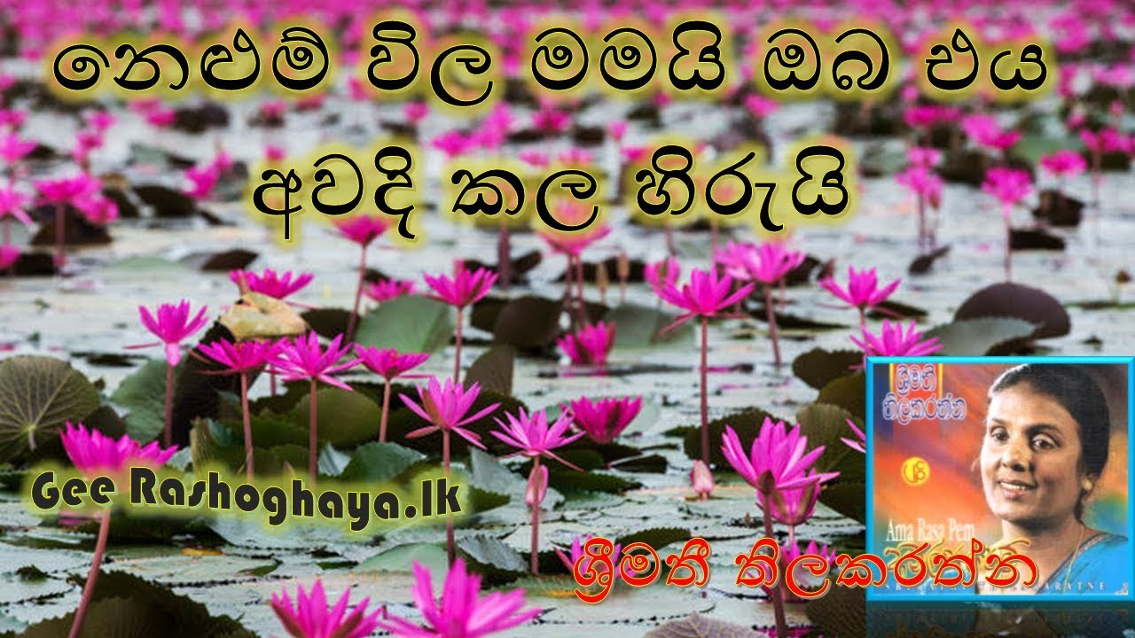 Nelum Vila Mamai- Srimathi Thilakarathne - YouTube