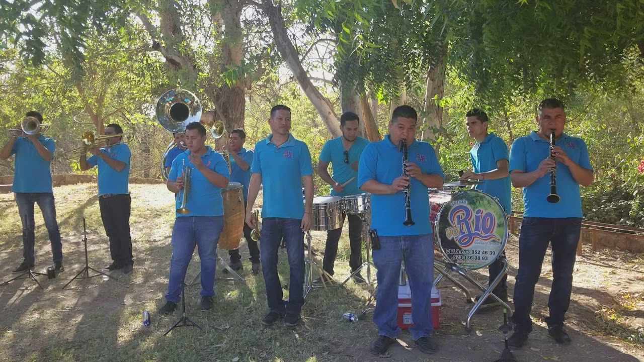 Banda del río de guamuchil flor del campo - YouTube