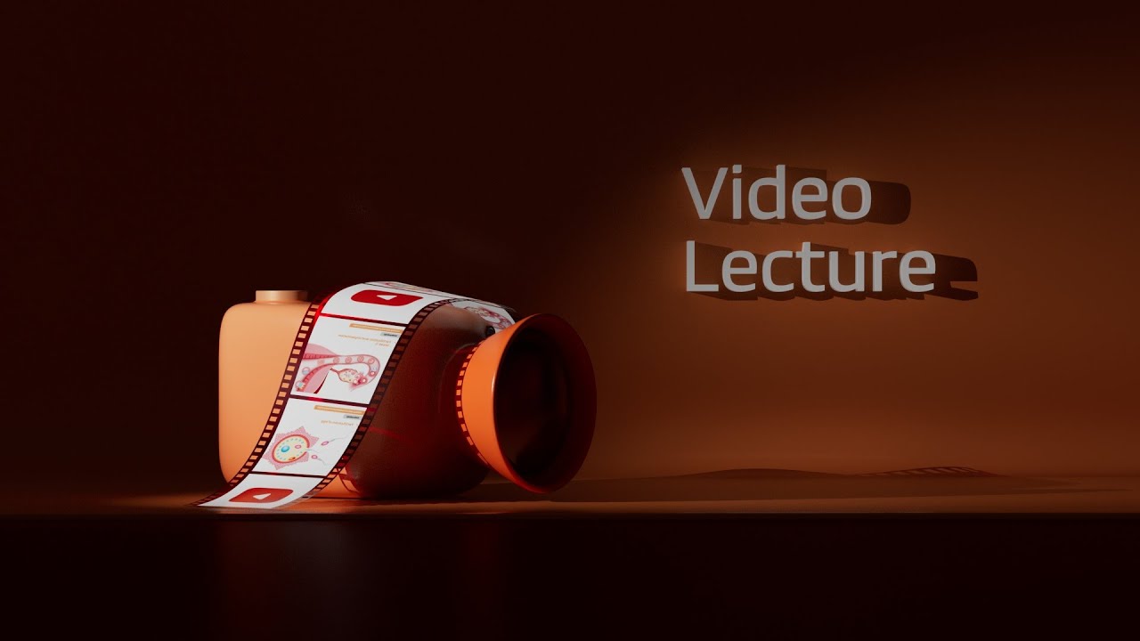 Lecture videos - YouTube