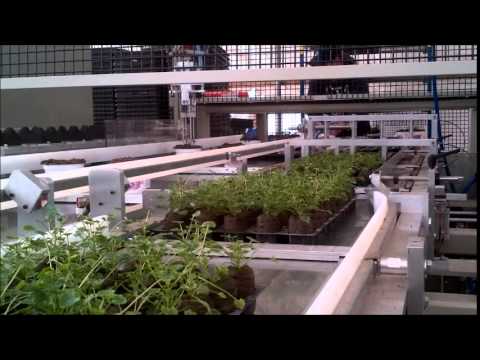 CMP: Automated Plug Planting System - YouTube
