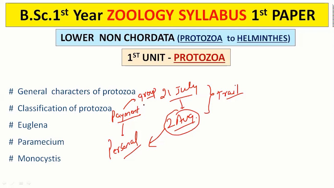 Lt 01 Live Syllabus Zoology 1st Paper B Sc 1st Year YouTube lt-01-live-syllabus-zoology-1st-paper-b-sc-1st-year-youtube