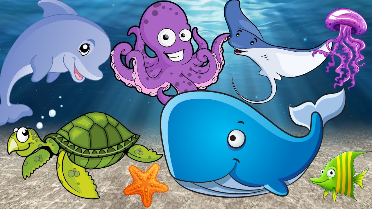 SEA ANIMALS | Learn to recognize whale, shark, jelly-fish, octopus ...