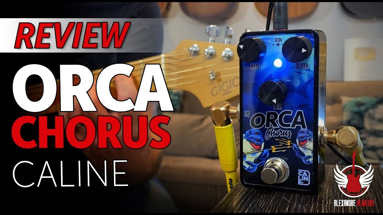 Orca Chorus Caline (Review + Dicas) - YouTube