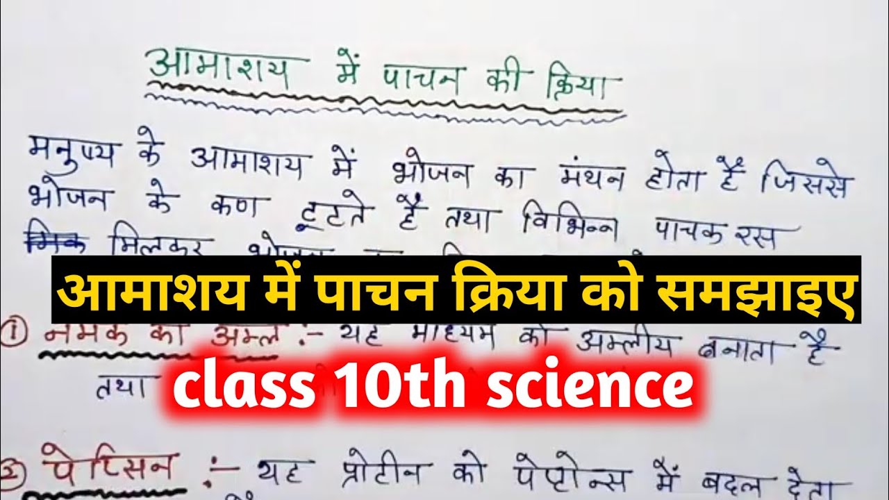 आमाशय में पाचन क्रिया को समझाइए /amashay me bhojan ka pachan kaise hota ...