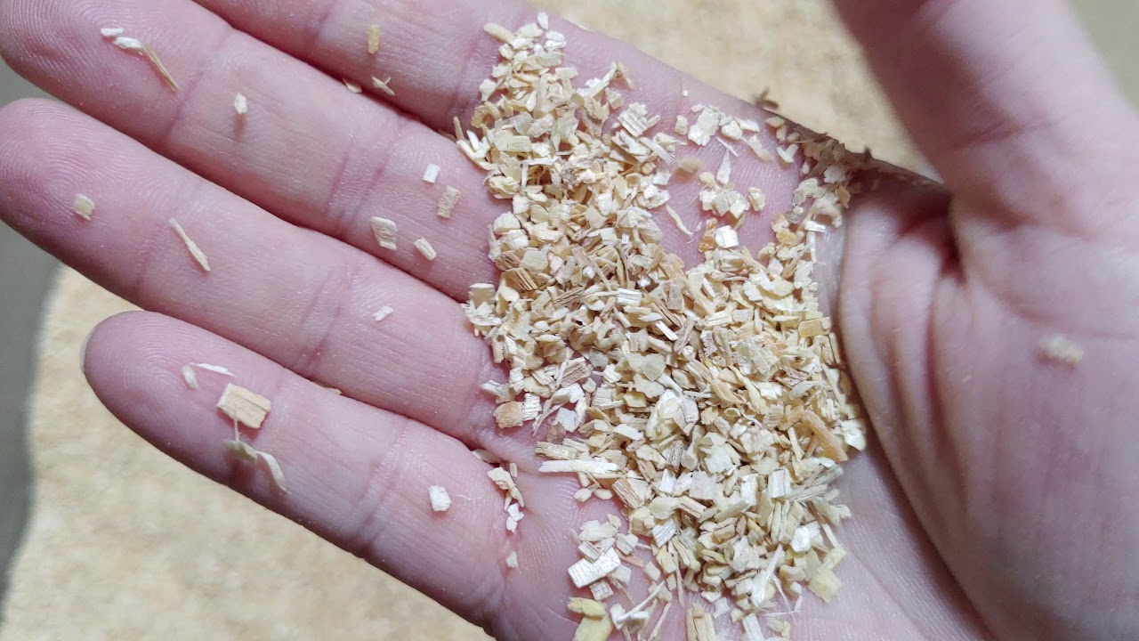 Envigo Sani-chips vs. America's Choice Mini Flake. - YouTube