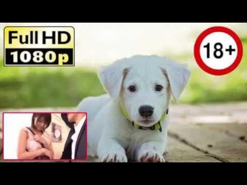 𝗝𝗮𝗽𝗮𝗻 𝗠𝗼𝘃𝗶𝗲 𝗡𝗲𝘄 𝟮𝟬𝟭𝟴 𝗣𝗮𝗿𝘁 𝟲𝟳