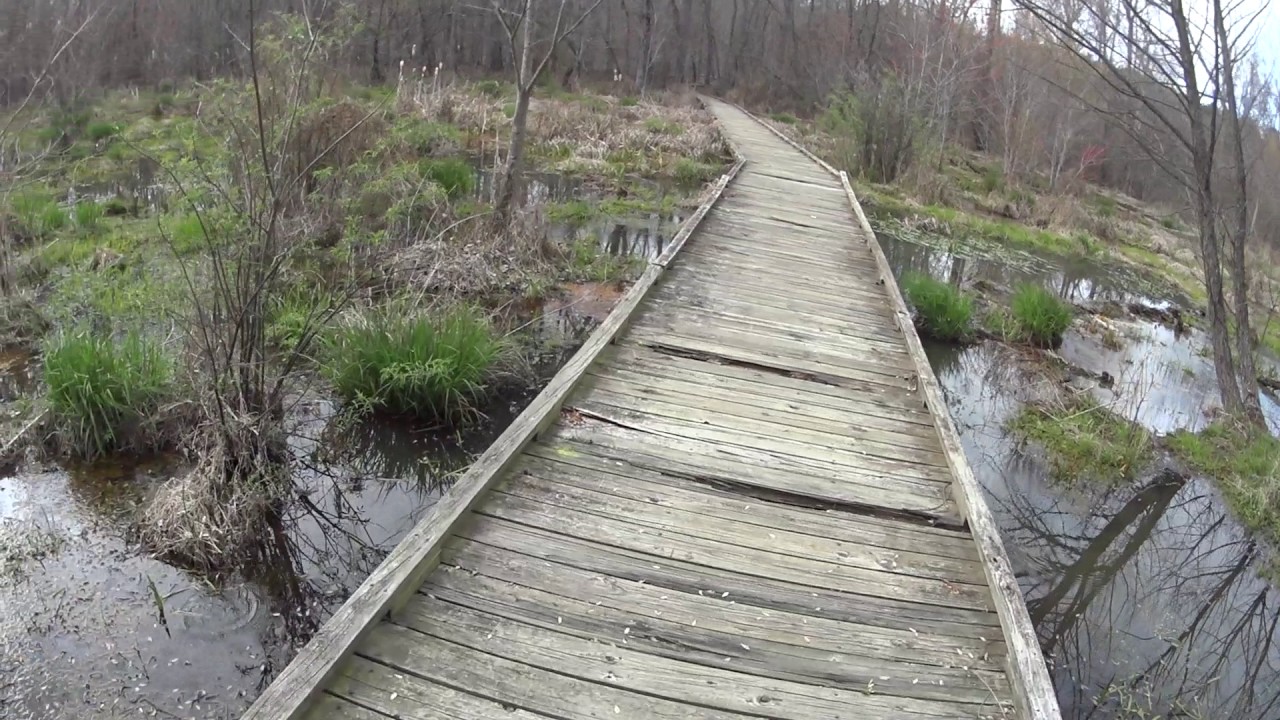 Enoree Passage Day 2 - Palmetto Trail - YouTube