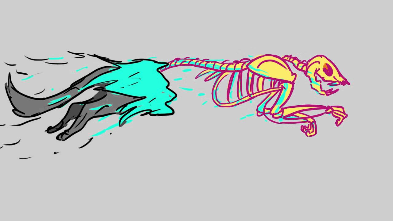 cat rotoscope - YouTube