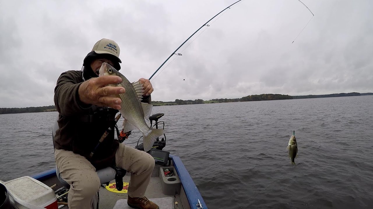 The Keys To Catching White Perch, Boat Control, Jig Color & Jig Size ...