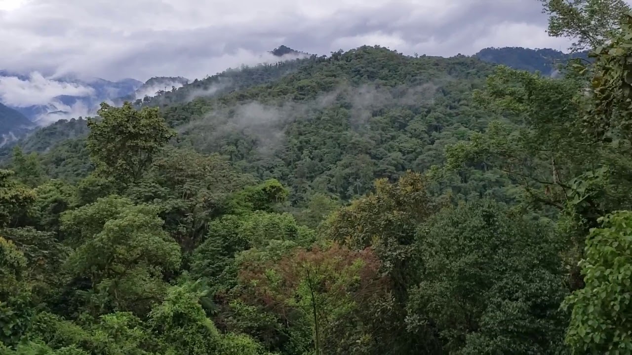 MIndo Valley - YouTube