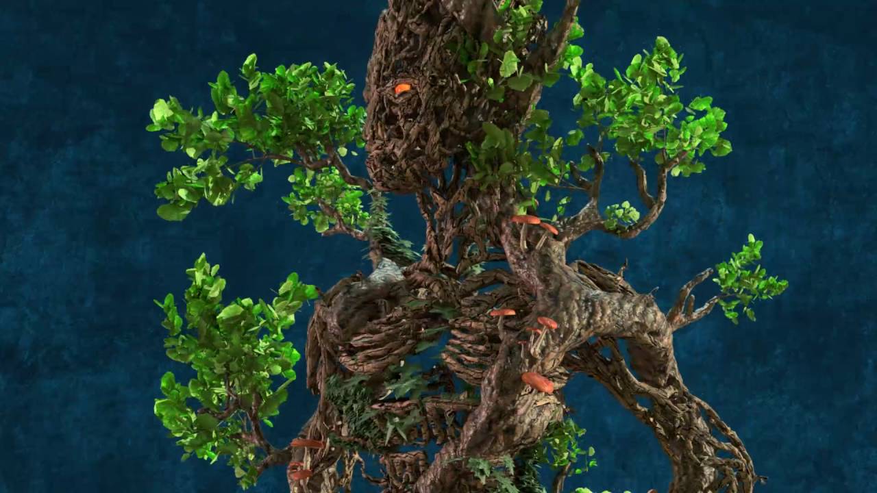 Tree Character 3D Blender Animation Turntable - YouTube