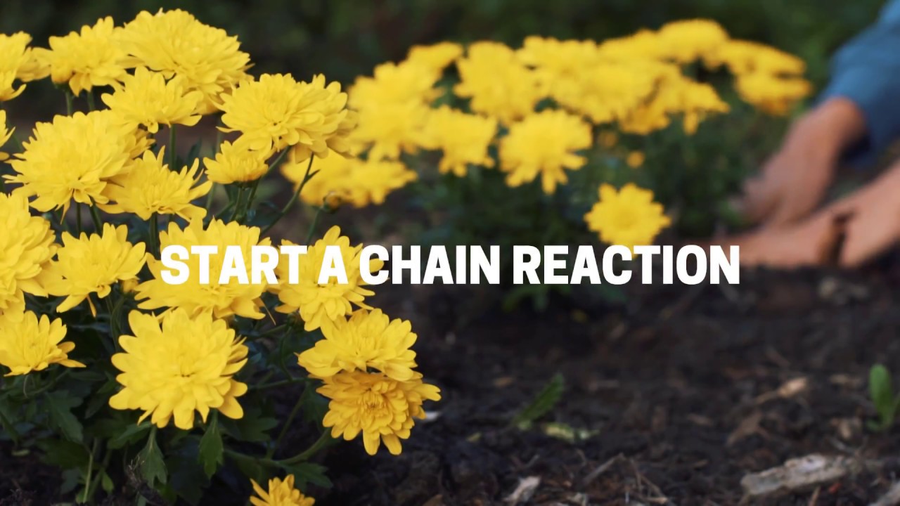 Start A Chain Reaction - YouTube