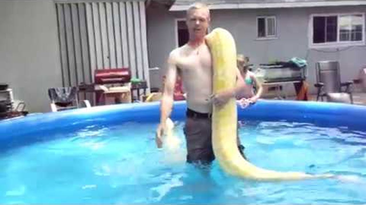 Swimming Snake || ViralHog - YouTube