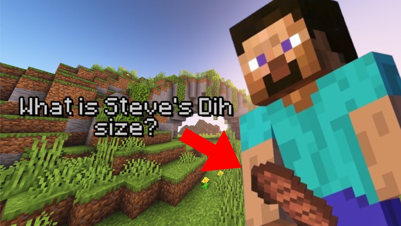 What is Minecraft Steve's Dih Size? (Volume included) - YouTube
