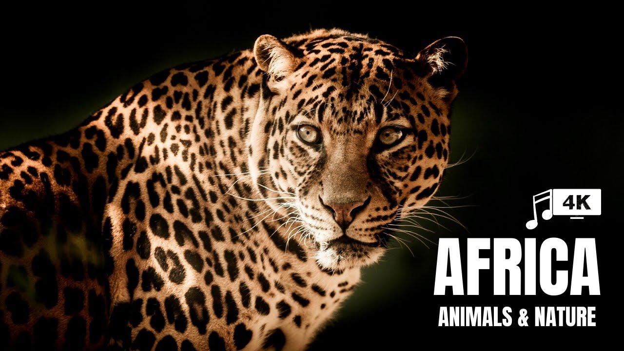 With Music through AFRICA | 3h of Relaxing African Instrumental Music ...