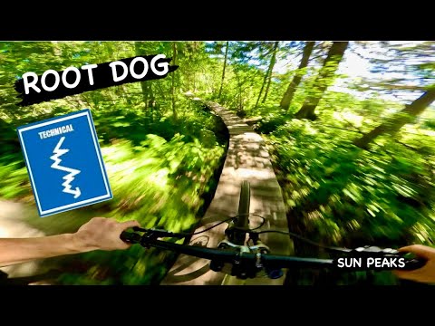 ROOT DOG | Blue trail | SUN PEAKS Bike Park - YouTube