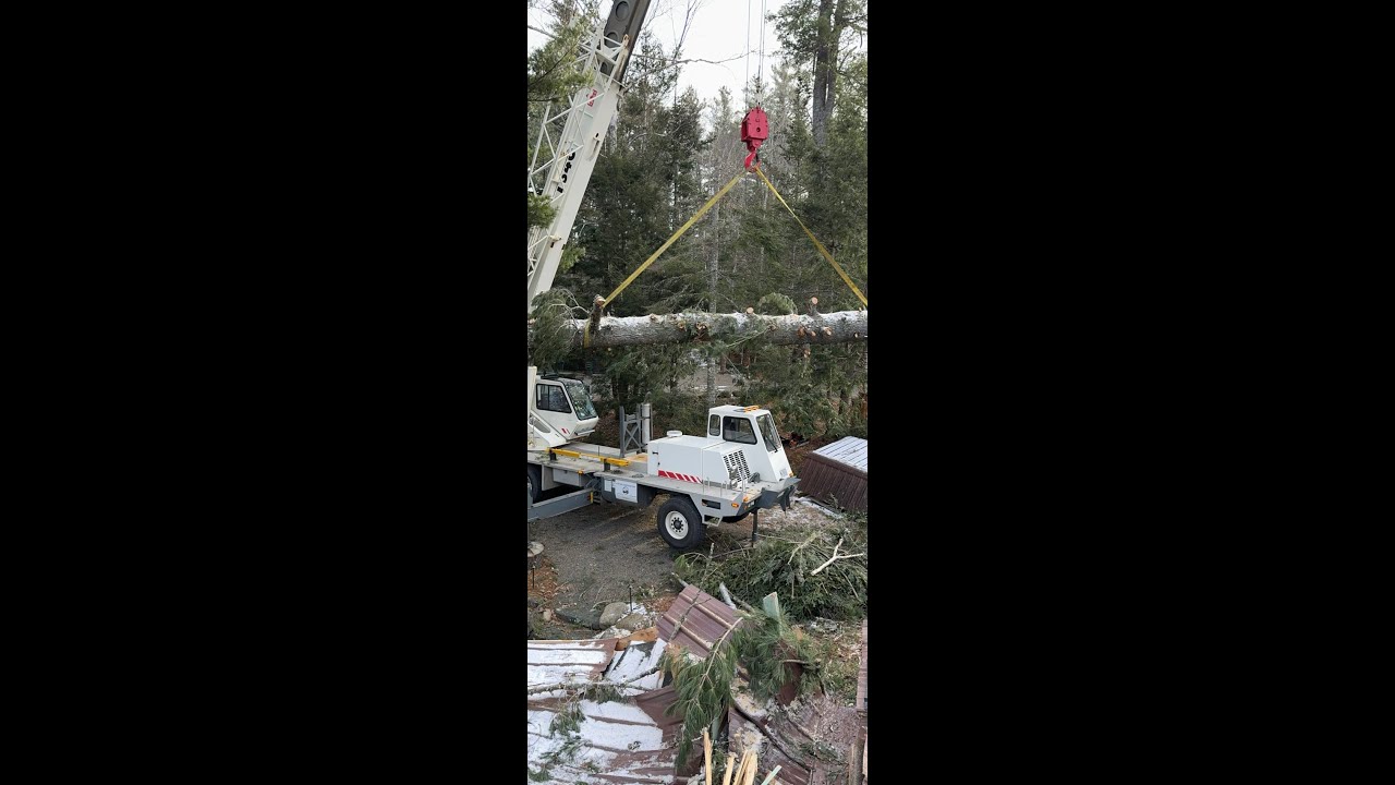 tree removal in Washington County maine. crane job. - YouTube