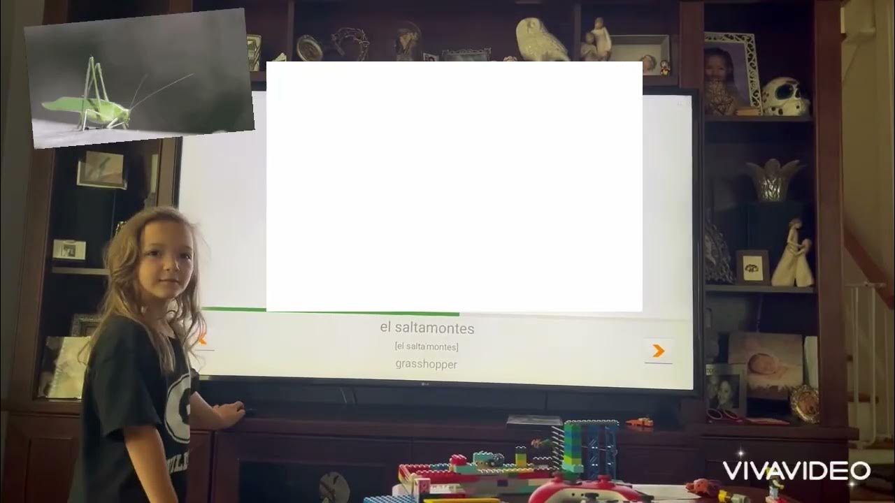 Grasshopper in Spanish - el saltamontes pronunciation - YouTube