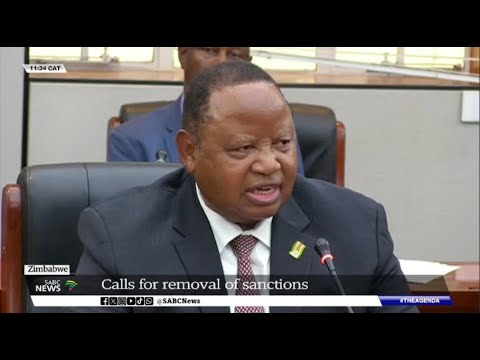 Zimbabwe | Frederick Shava calls for the removal of sanctions - YouTube