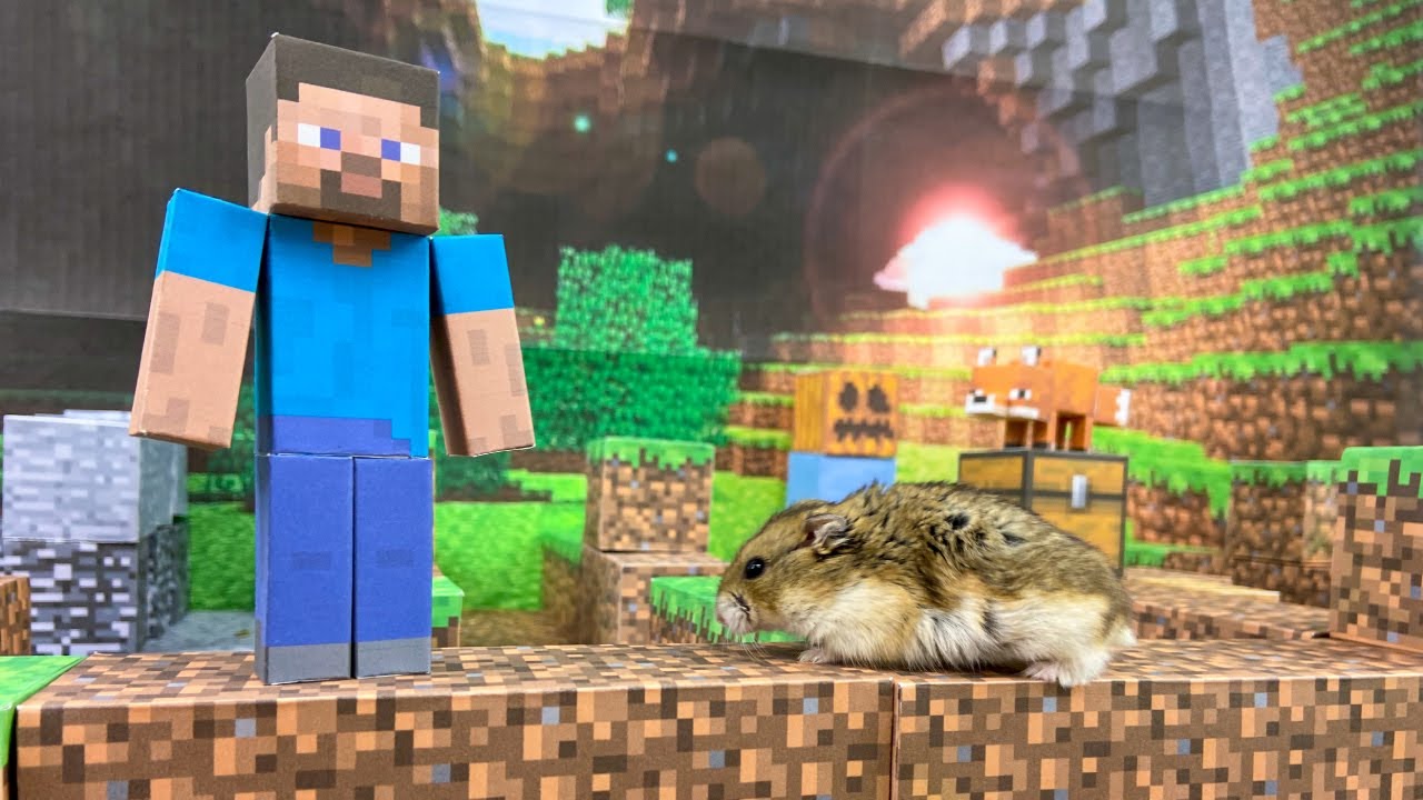 Mega Minecraft Hamster Maze A whole Minecraft world built for a hamster ...