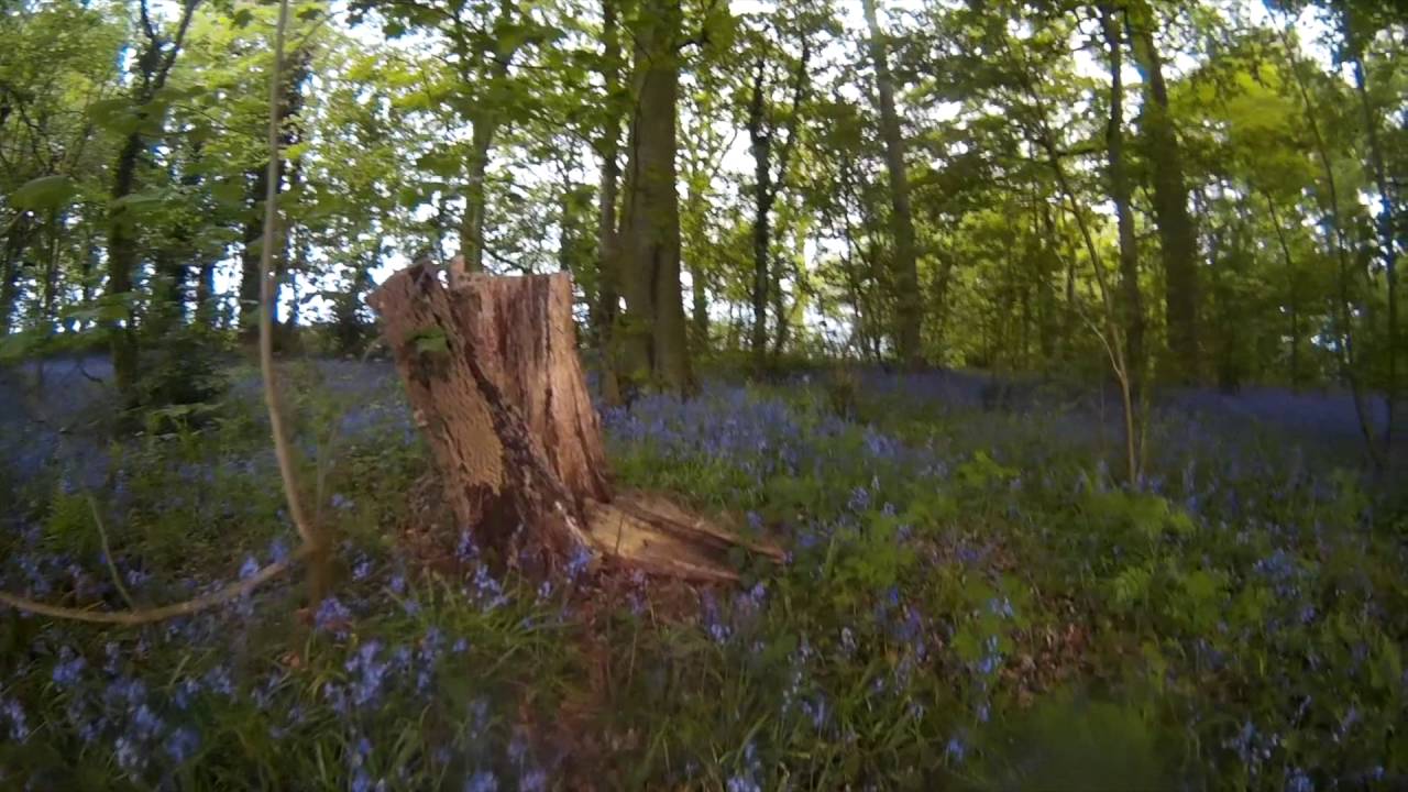 Diatone Spadger 180 FPV Blue Barrel Woods - YouTube