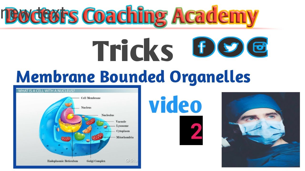 tricks about membrane bounded organelles | mnemonic membrane bounded ...
